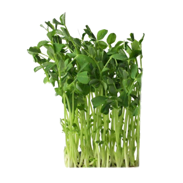 1 lb. Peashoot (Pickup ONLY) - Real Kids Real Food